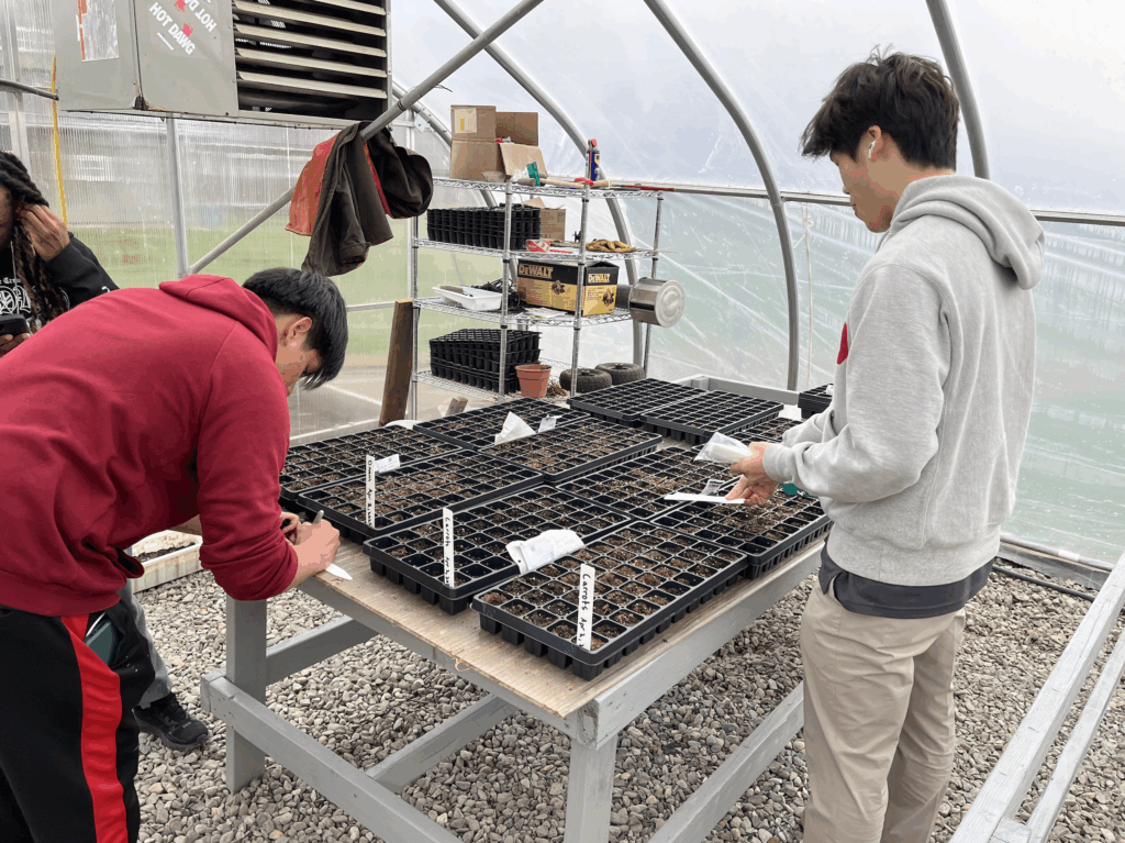 North Campus Projects Usher in Spring at South Kent - South Kent School